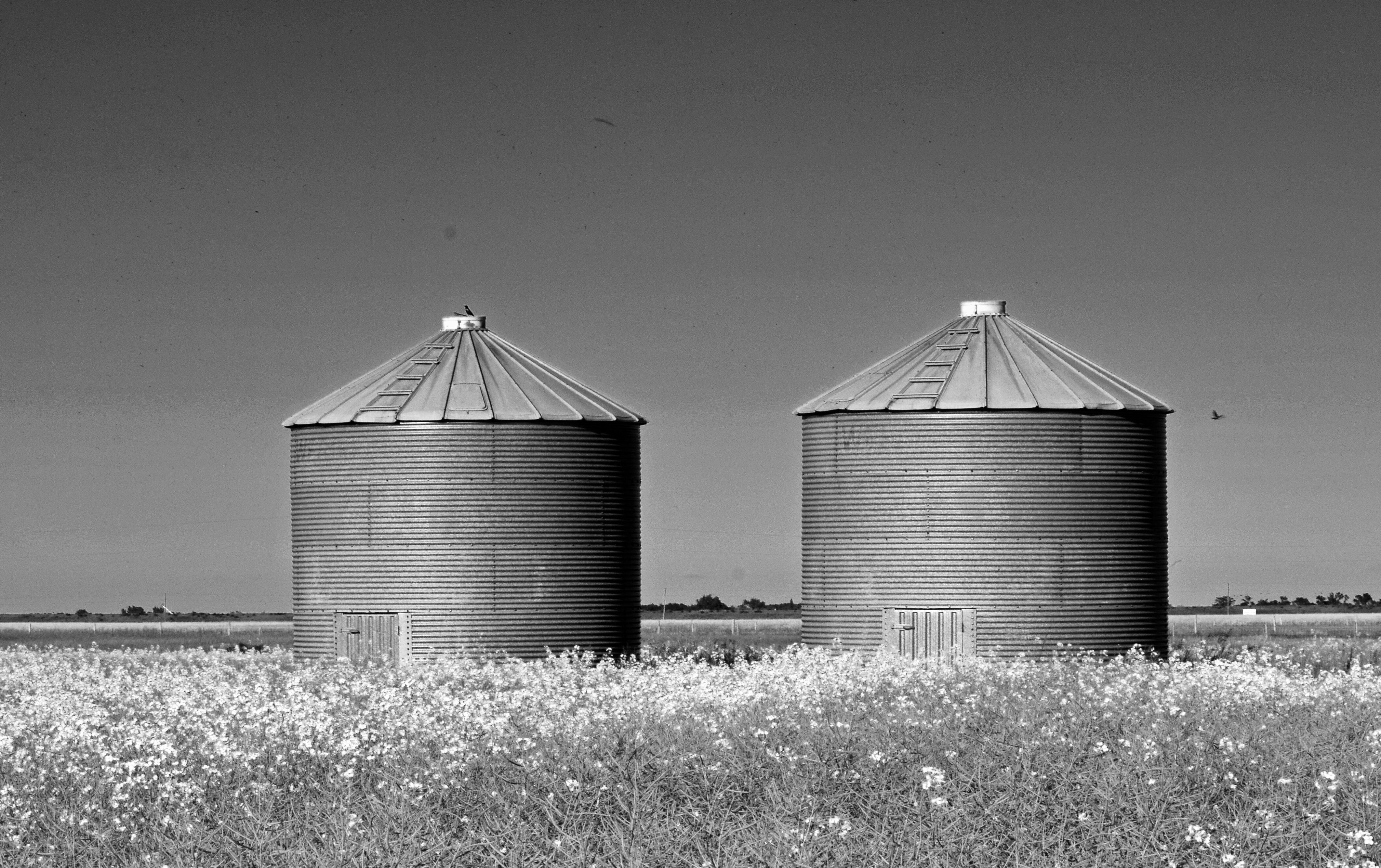 What is SILO Working? | Farleigh Performance